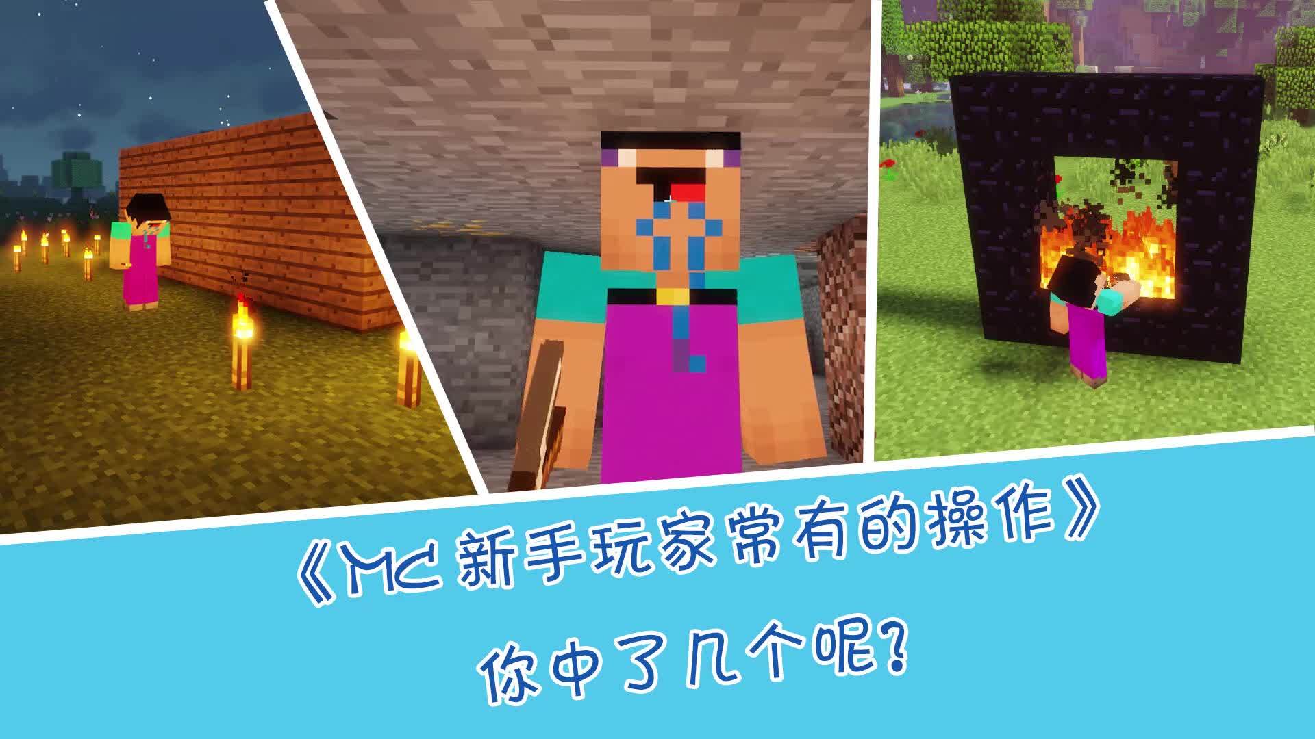 我的世界:新手玩家玩家常有的操作,你中了几个
