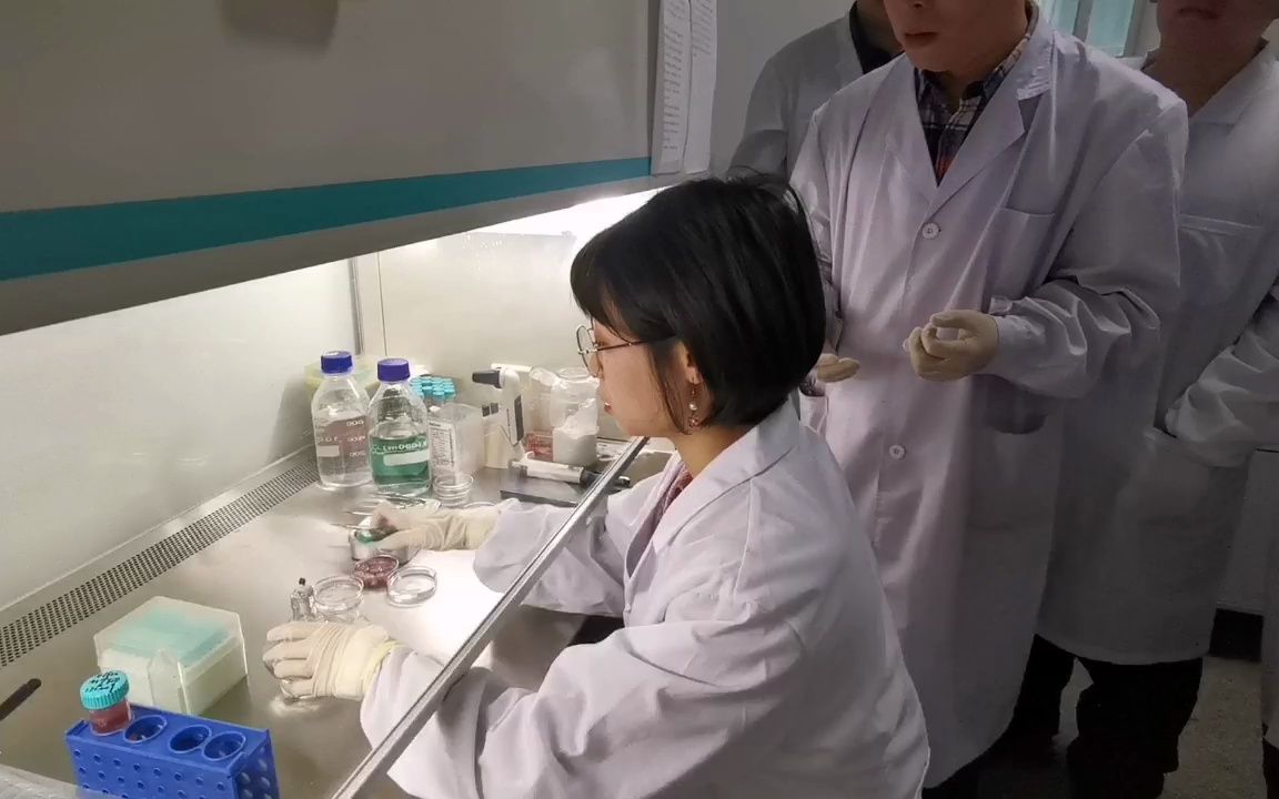 组织工程实验_同学操作实录1.原代培养