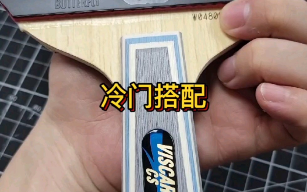 维斯卡利亚cs 玫瑰 敏冲 大爷新武器