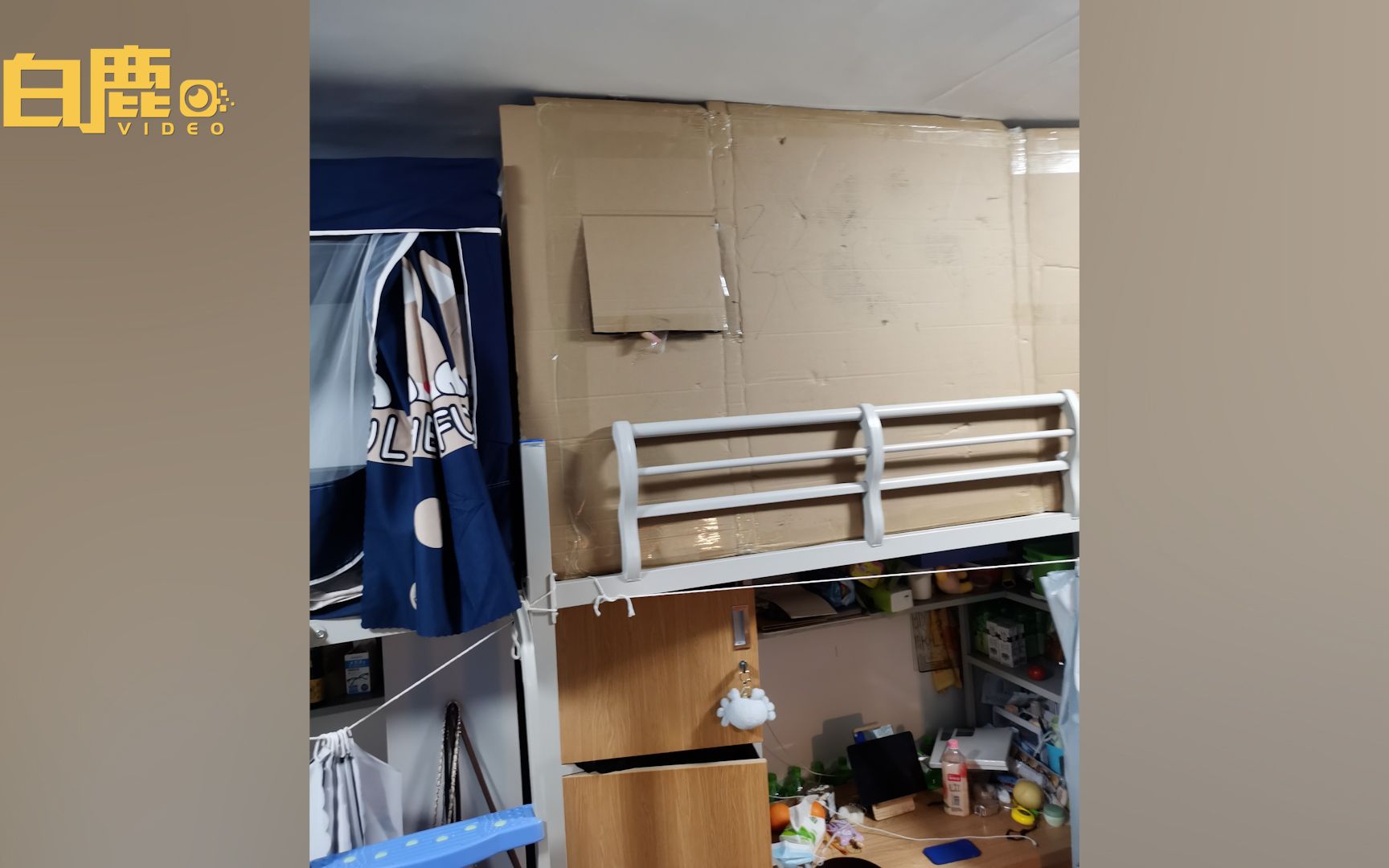 美术生用纸箱做床帘开小窗做小门 舍友:圆了小时候的梦想