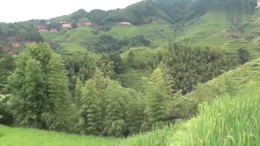 桂林龙胜梯田美景欣赏,景色秀丽、如诗如画