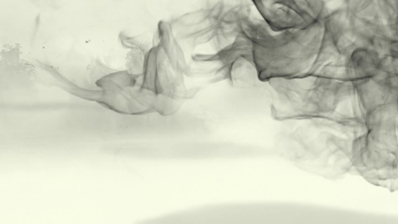 水墨片头视频素材