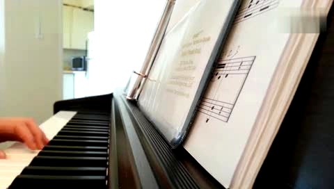 歌曲《虫儿飞》钢琴伴奏20140306_100858