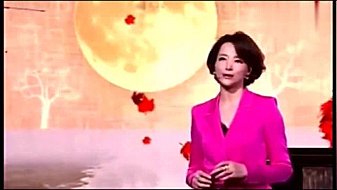 中国诗词大会:董卿这才思敏捷、妙语连珠的开场白,尽显才女本色