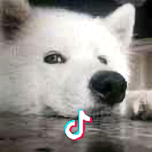 有梦想有兴趣向上的人 