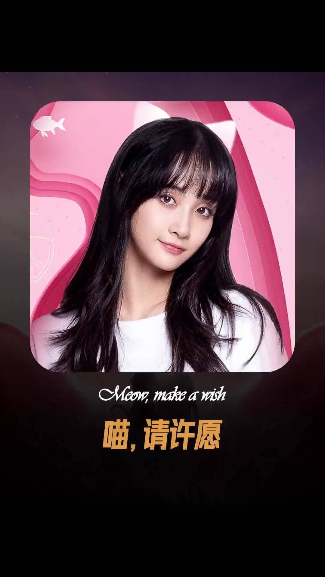 小猫用计算器帮顾客结账,一夜爆火成了网红猫!
