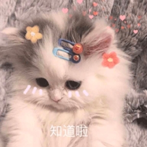 小怡f123 