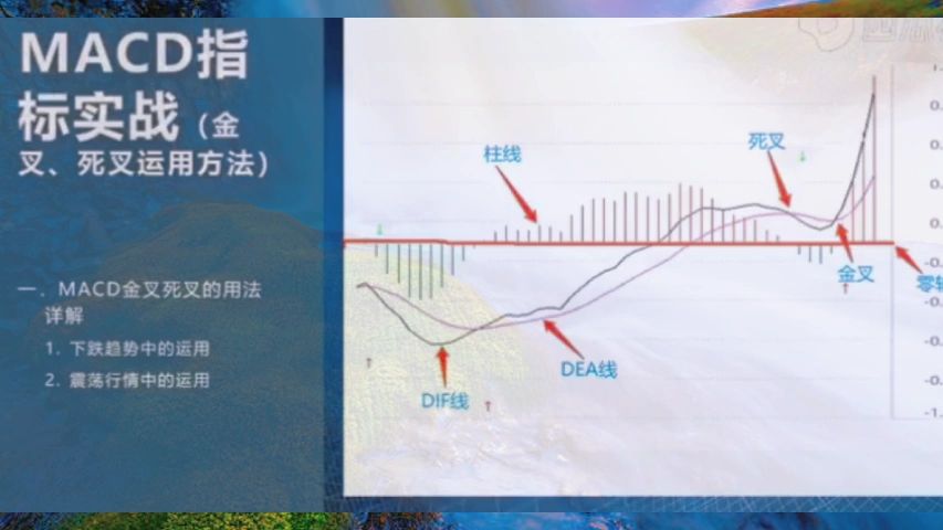 一个月800%的强势短线打板指标!集合竞价分时图战法,稳选连板