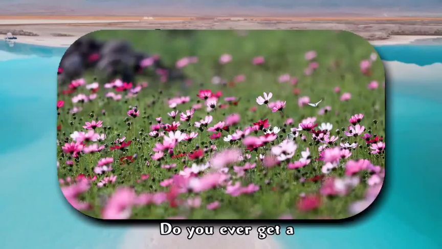 #剪映模板 #一键剪同款 #剪映一键剪同款 #模板 #卡点 #轻而易剪