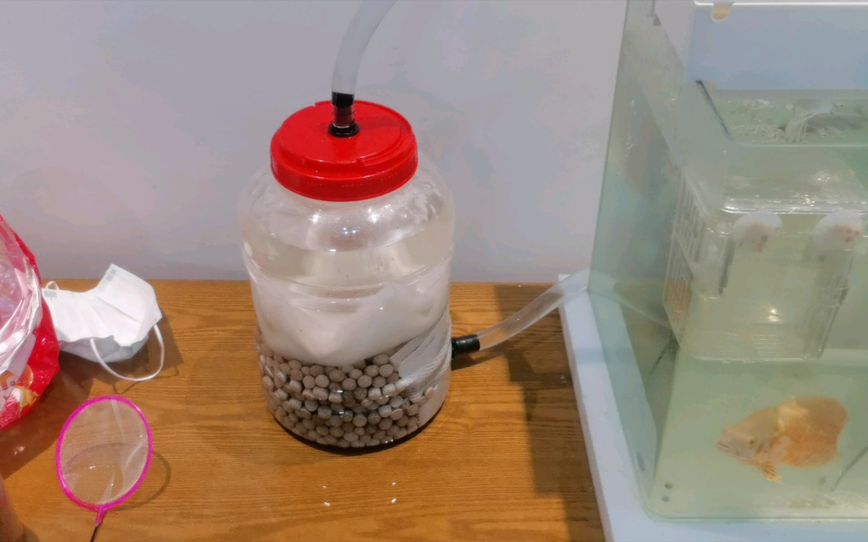 35块钱搞定鱼缸过滤桶。超大水族过滤桶。