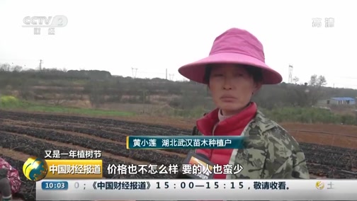 [中国财经报道]又是一年植树节 绿化苗木价格走低 普通苗价格“跳水”