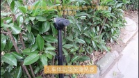 E-TWOW电动滑板车的使用方法