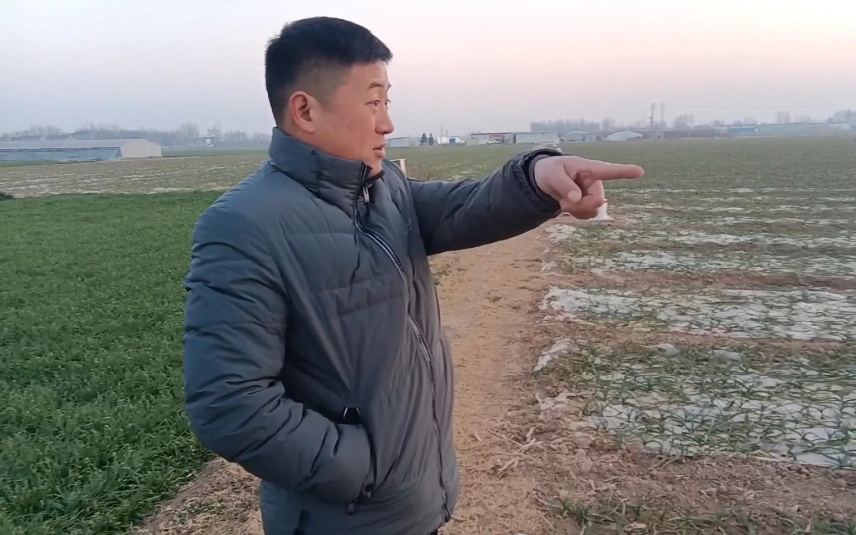 农村实行土地流转制,为啥有的老百姓不愿意?农民小伙说出了实情