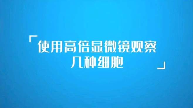 高考 高中生物 新人教 使用高倍显微镜观察几种细胞