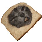猫叔UoCat 