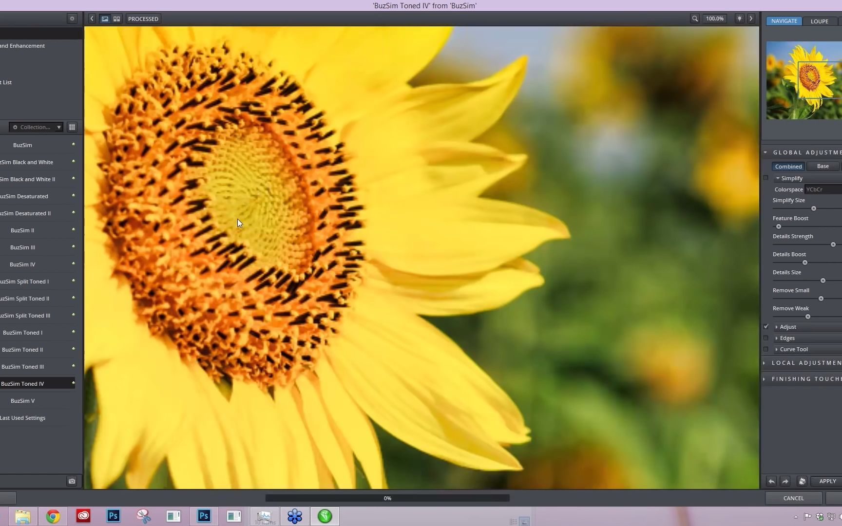 Digital Art with Topaz Simplify