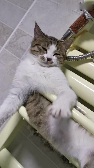 建 议 标 题 改 成:贼 吸 引 人