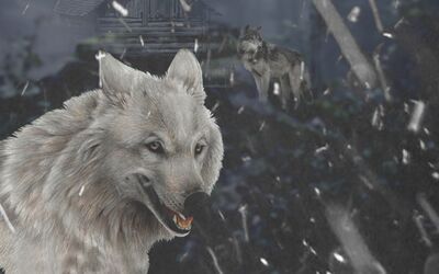 【灵文山庄】六种语言的哈士奇是怎么叫的?(《野狼disco》cover:宝石...