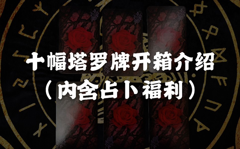【龙女塔罗】开箱视频(十副塔罗牌)