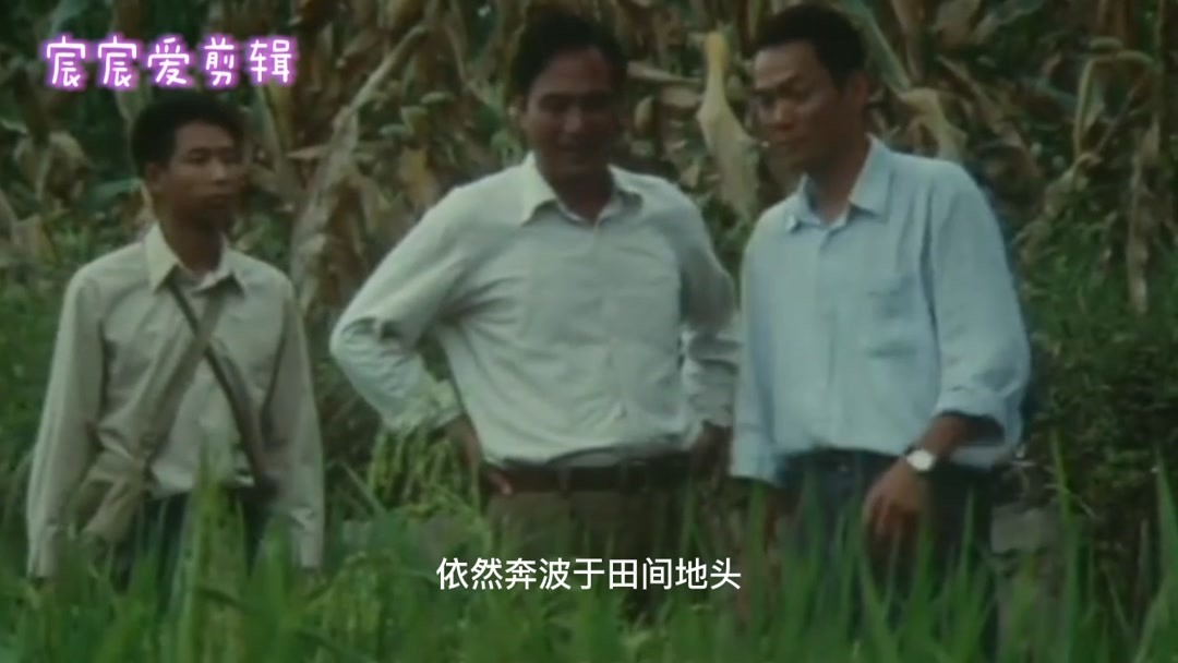 杂交水稻之父 一生只做一件事 袁隆平电影