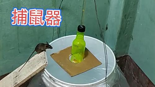 老鼠常偷吃,小伙自制捕鼠器