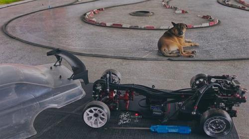 MST FXX 2.0 S 试车