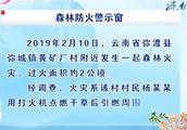 春季天干物燥,谨防森林火灾,这些做法都是严格禁止的
