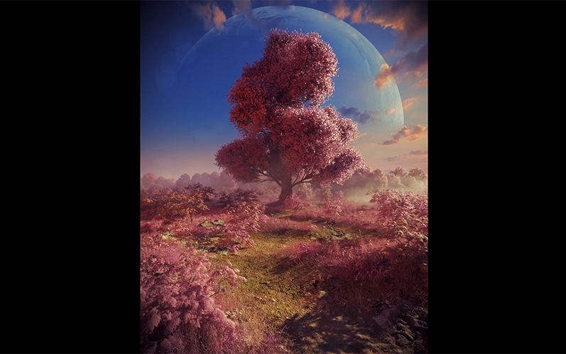 【搬用C4D实用教程OC系列】OC制作优美场景