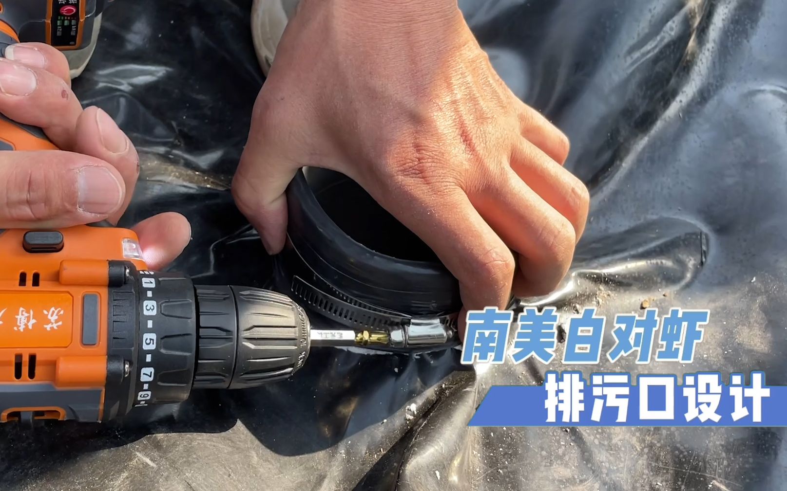 南美白对虾——排污口设计