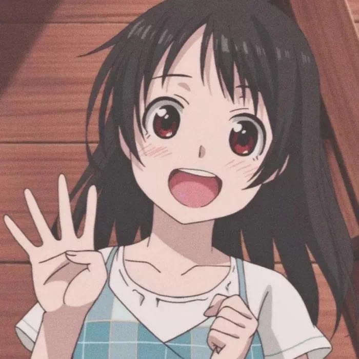 新高考资料合集 