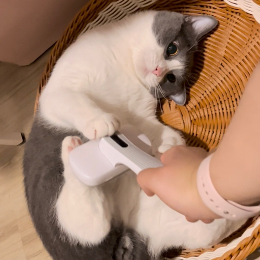 钱包里有一块钱 