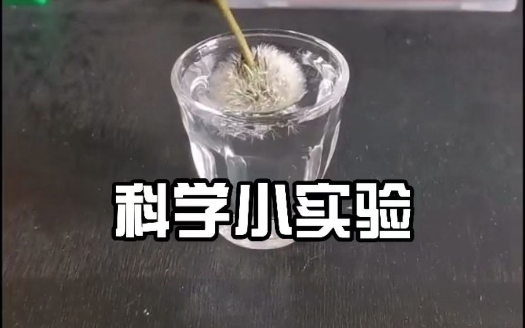 生活中的科学小实验