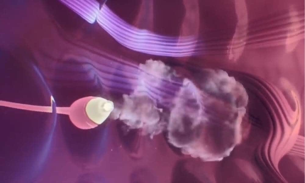 "受精"到底是啥样?动画演示全过程,看完之后...