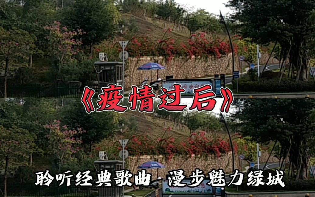 分享一首抗击新冠病毒的歌曲《疫情过后》!