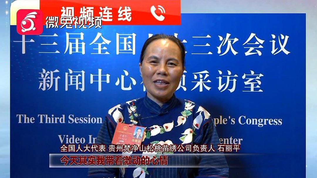 两会云访谈:全国人大代表石丽平