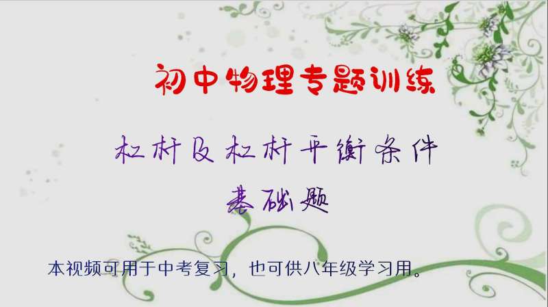 初中物理专题训练,杠杆及杠杆平衡条件,基础题