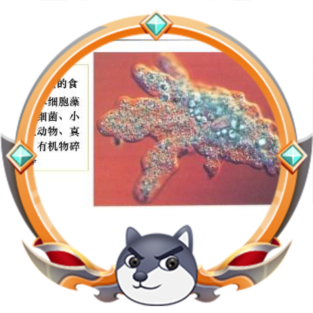 家中日常生活和游戏 