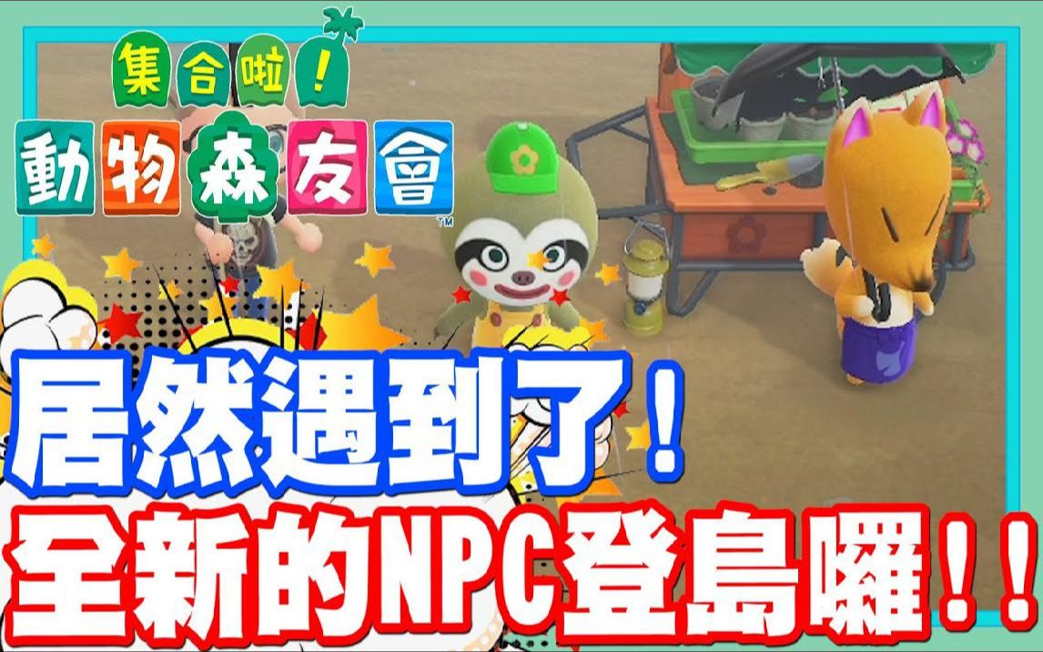 ...4950000 我哪有这么多钱啦 - Switch游戏 集合啦!动物森友会《哲平》