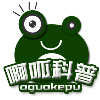 阿星定格动画 