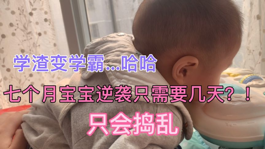 七个月宝宝短短几天如何从学渣逆袭成学霸的…太好笑了
