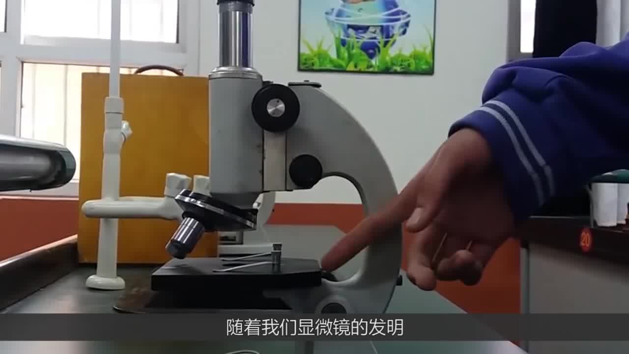 用显微镜放大几万倍,你会发现人体内的微生物有多恶心!