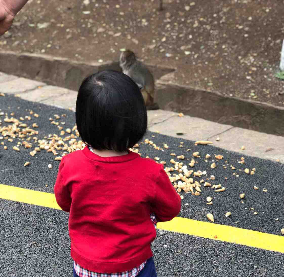 嘉宝兜兜鸭 