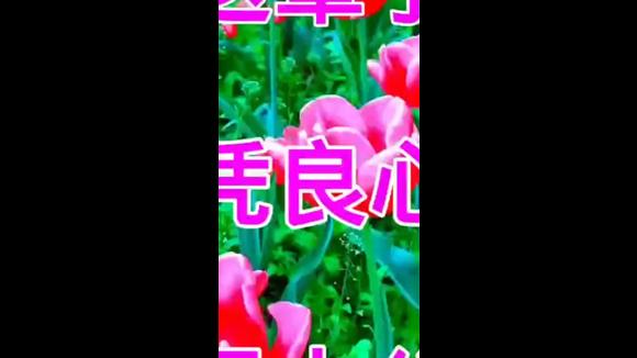 做一个诚实守信善良的人