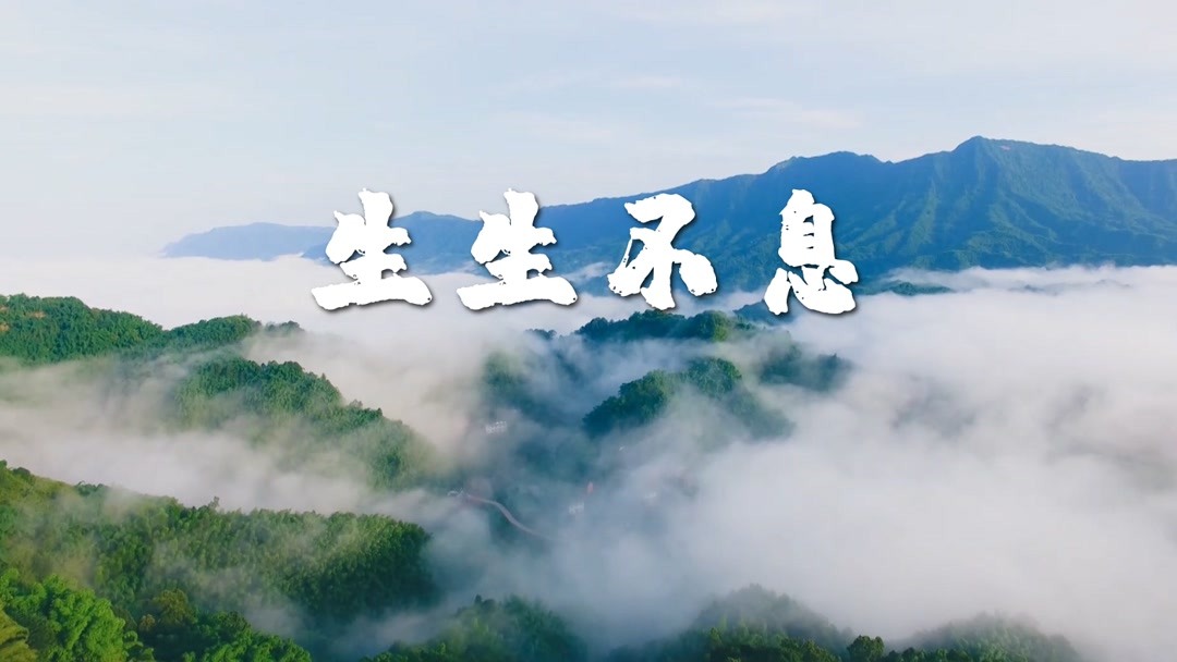 保护环境,生生不息,一起为“双碳”唱首歌!