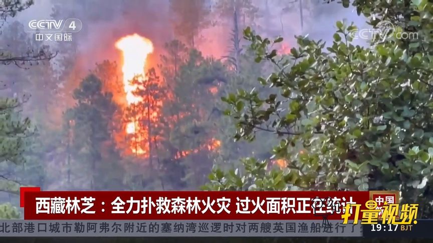 西藏林芝当地全力扑救森林火灾,过火面积正在统计|中国新闻