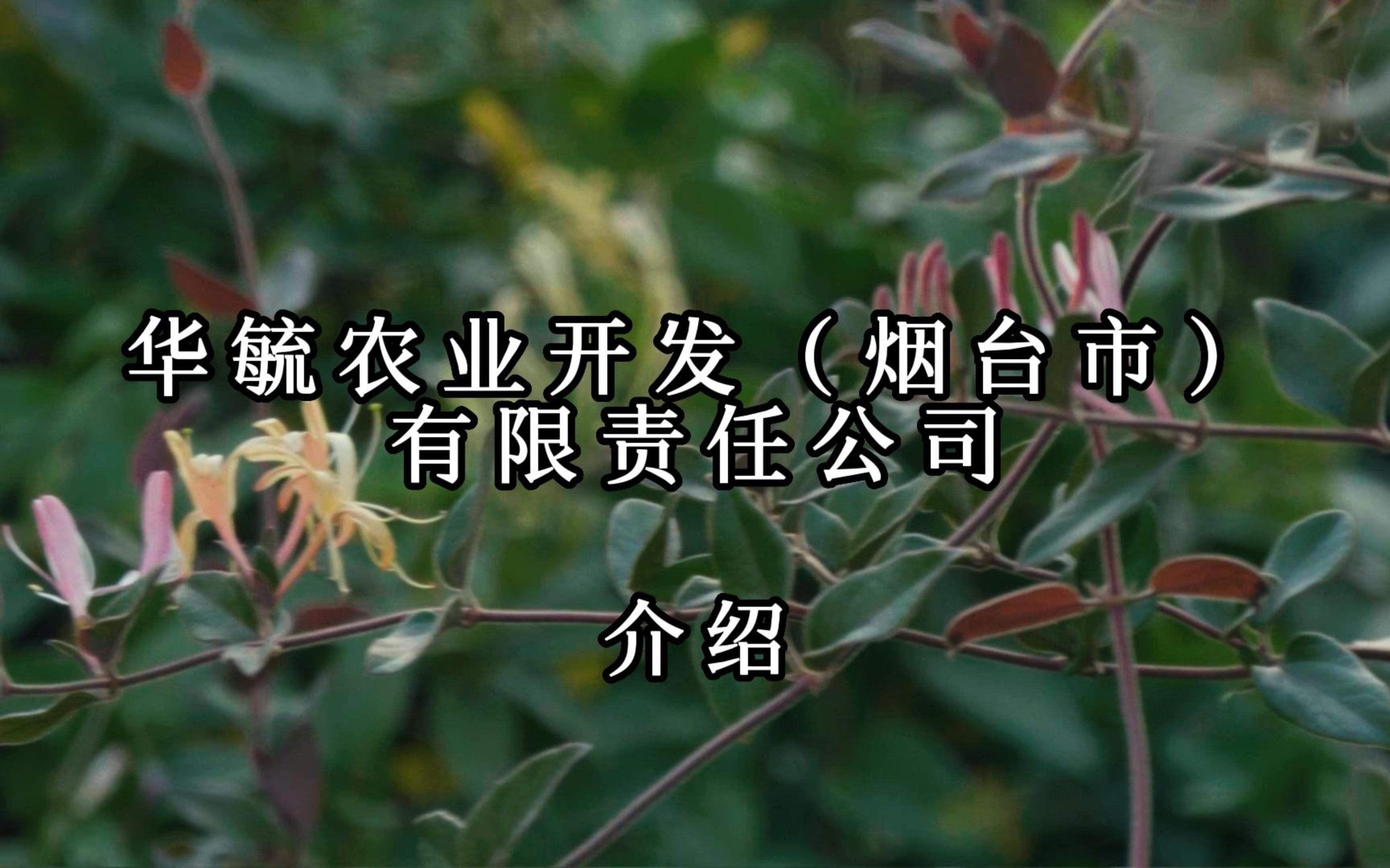 自行拍摄的农业公司宣传片小样,分享一下制作心得!