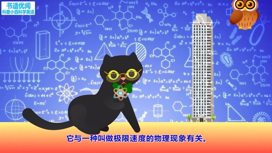 极限速度如何改变了猫的本性让它变成了降落伞 科普知识英语学习