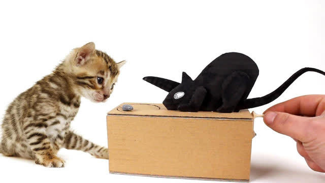 【手工制作】有趣的猫和老鼠!减压神奇