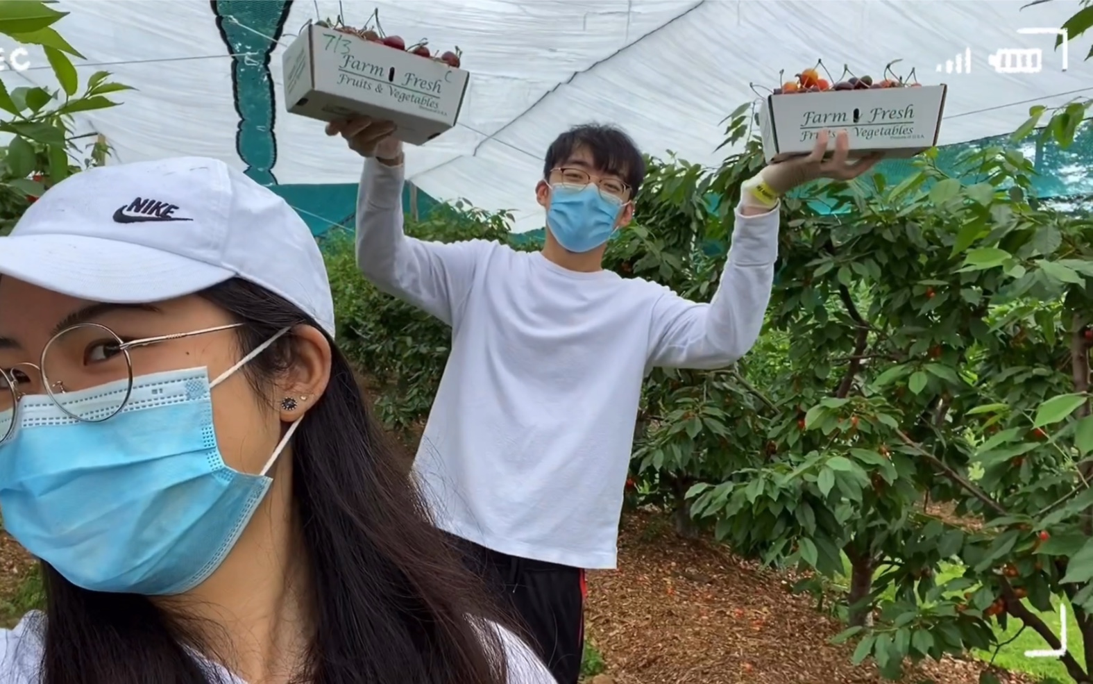 独立日假期可以干什么?农场摘樱桃看小动物