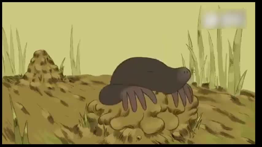 一个可爱又励志的动画短片,不忘初心,方得始终。